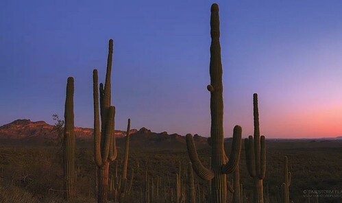 Behind The Scenes: timestorm Films’s “Arizona 8k HDR Timelapse ...