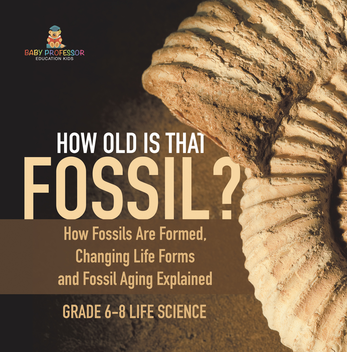 How Old is That Fossil? How Fossils are Formed, Changing Life Forms and ...