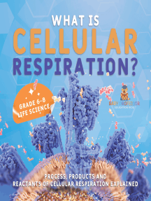What is Cellular Respiration? Process, Products and Reactants of ...