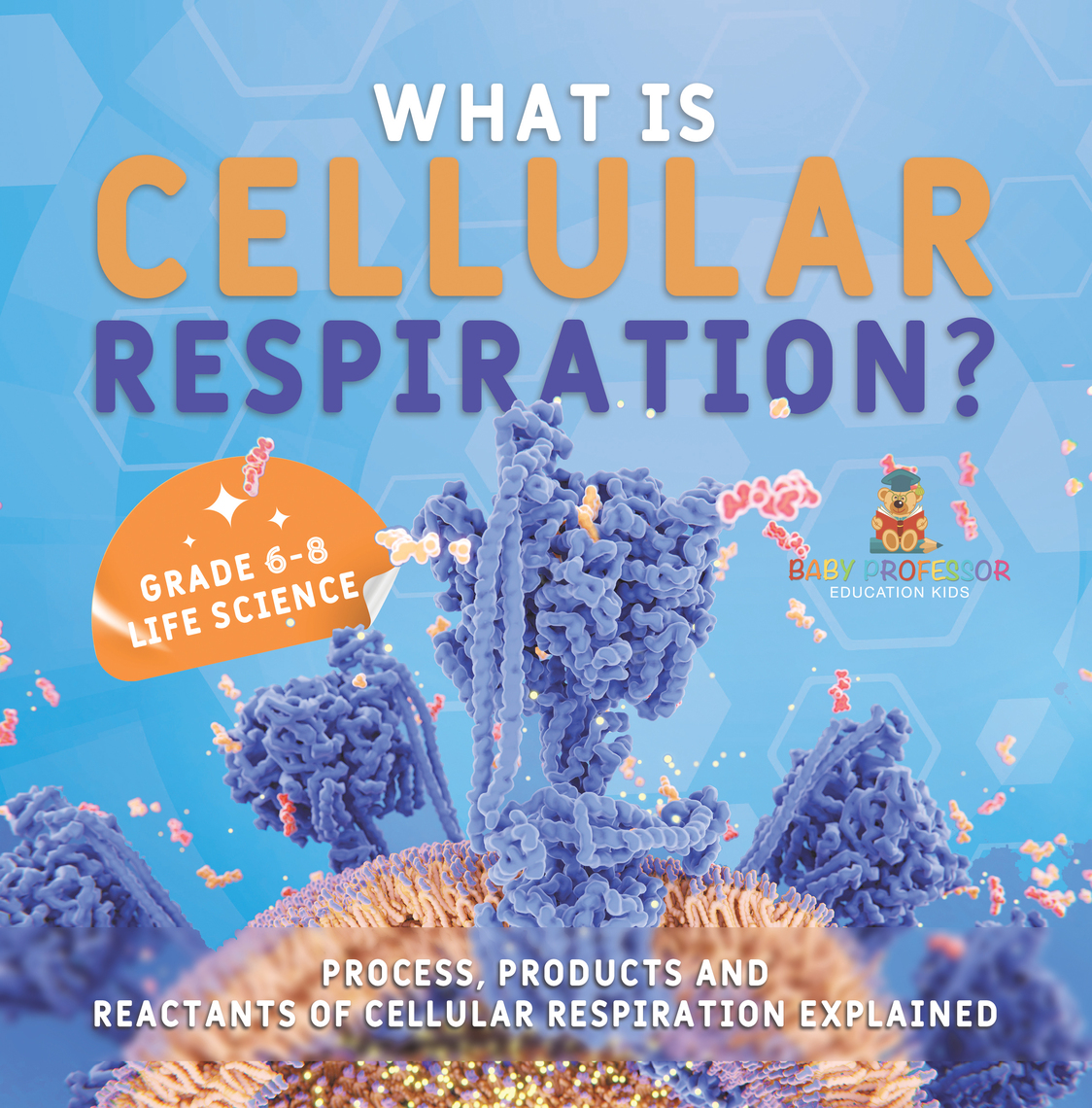 What is Cellular Respiration? Process, Products and Reactants of ...