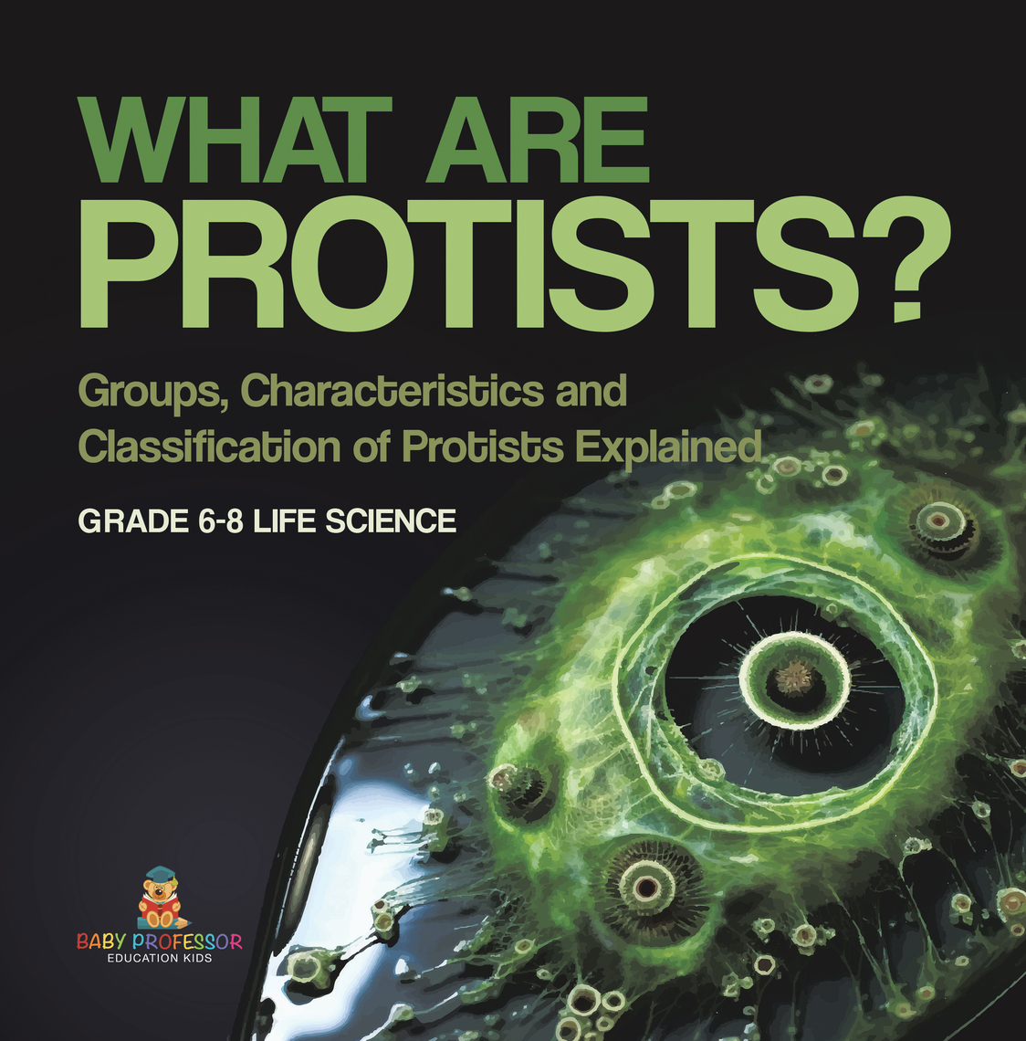What are Protists? Groups, Characteristics and Classification of ...