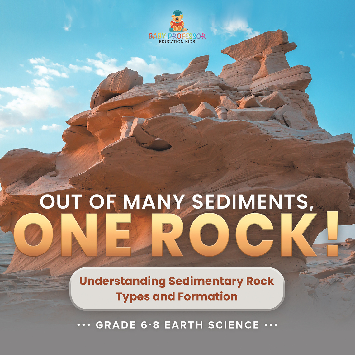 Out of Many Sediments, One Rock! Understanding Sedimentary Rock Types ...