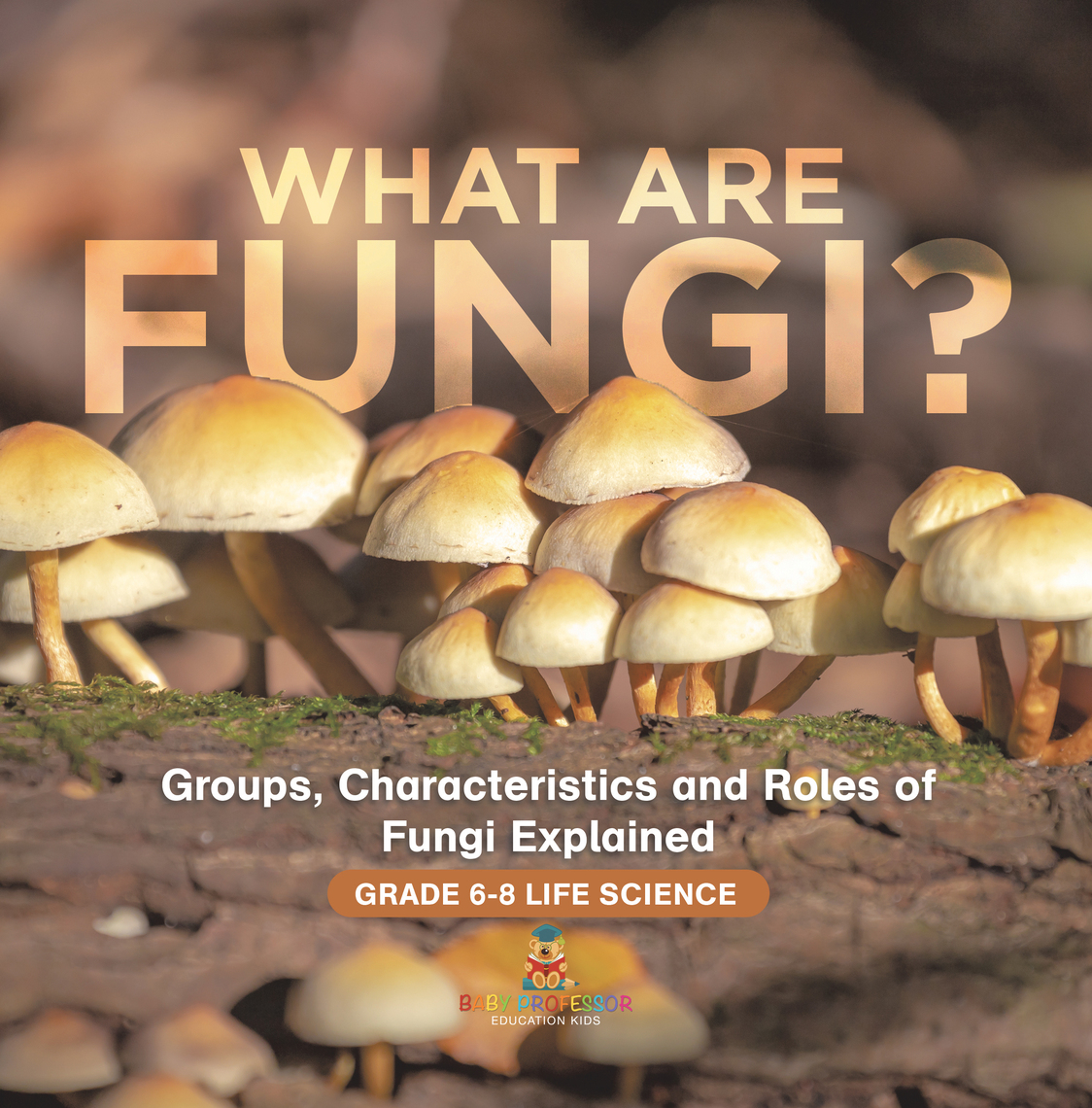 What are Fungi? Groups, Characteristics and Roles of Fungi Explained ...