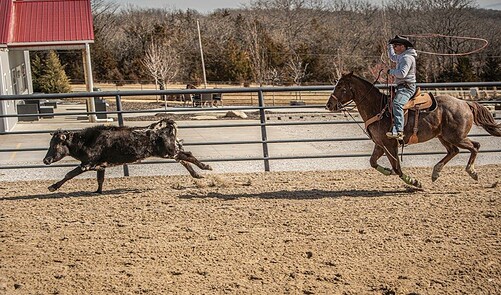 Sgt. Greenlief Gets A Relentless Remuda War Horse - The Team Roping ...