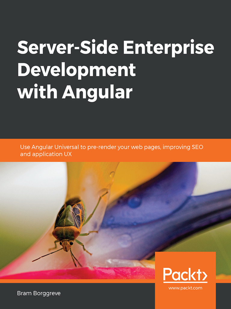 Server Side Enterprise Development With Angular By Borggreve Bram