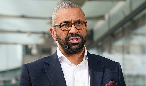 Tory Members Back James Cleverly As Leader But Tom Tugendhat Is Public ...