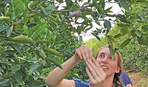 A Closer Look At Biological Control Products And The Importance Of ...