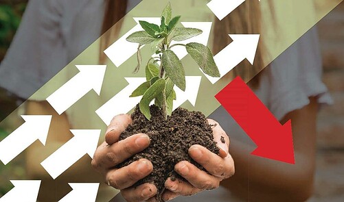 2 Types Of FALSE CONVERSIONS To Watch Out For - JOY Magazine | Everand