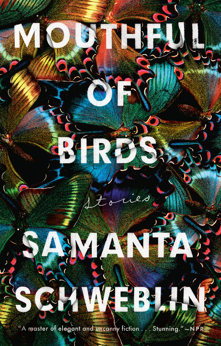 Mouthful of Birds by Samanta Schweblin, Megan McDowell (Ebook) - Read ...