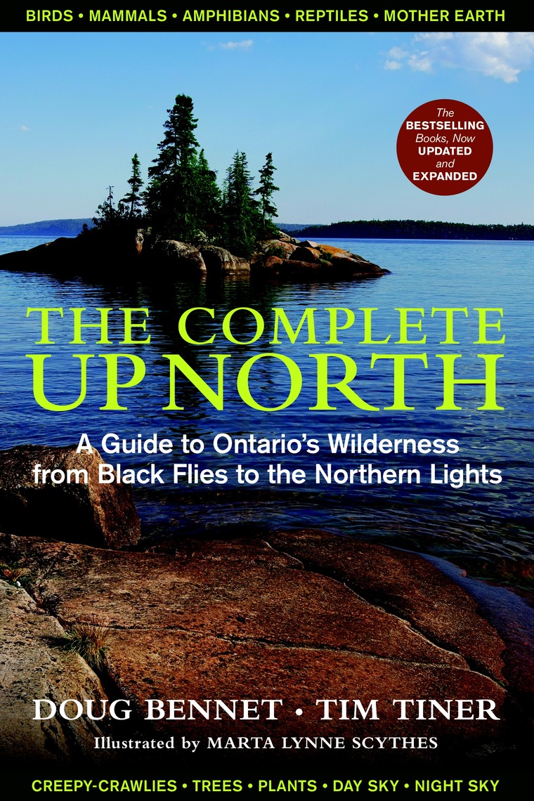The Complete Up North by Doug Bennet, Tim Tiner, Marta Scythes (Ebook ...