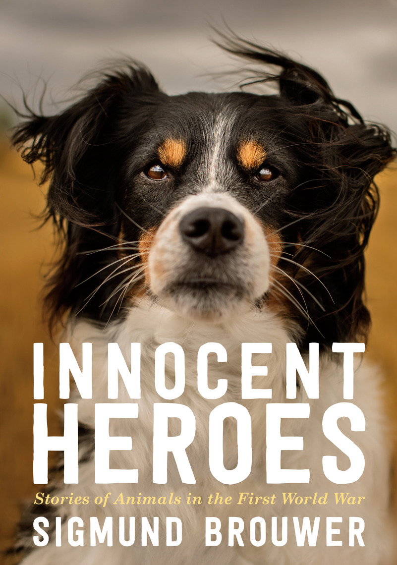 Innocent Heroes by Sigmund Brouwer (Ebook) - Read free for 30 days