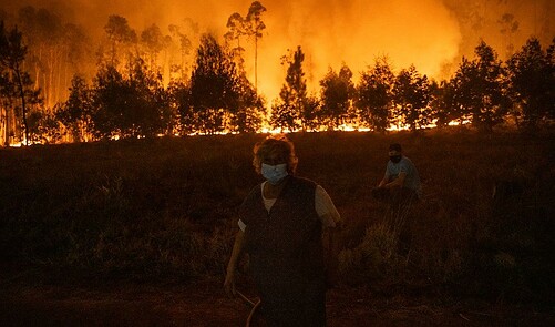 Portugal Wildfires: 'State Of Calamity' As Thousands Of Firefighters ...