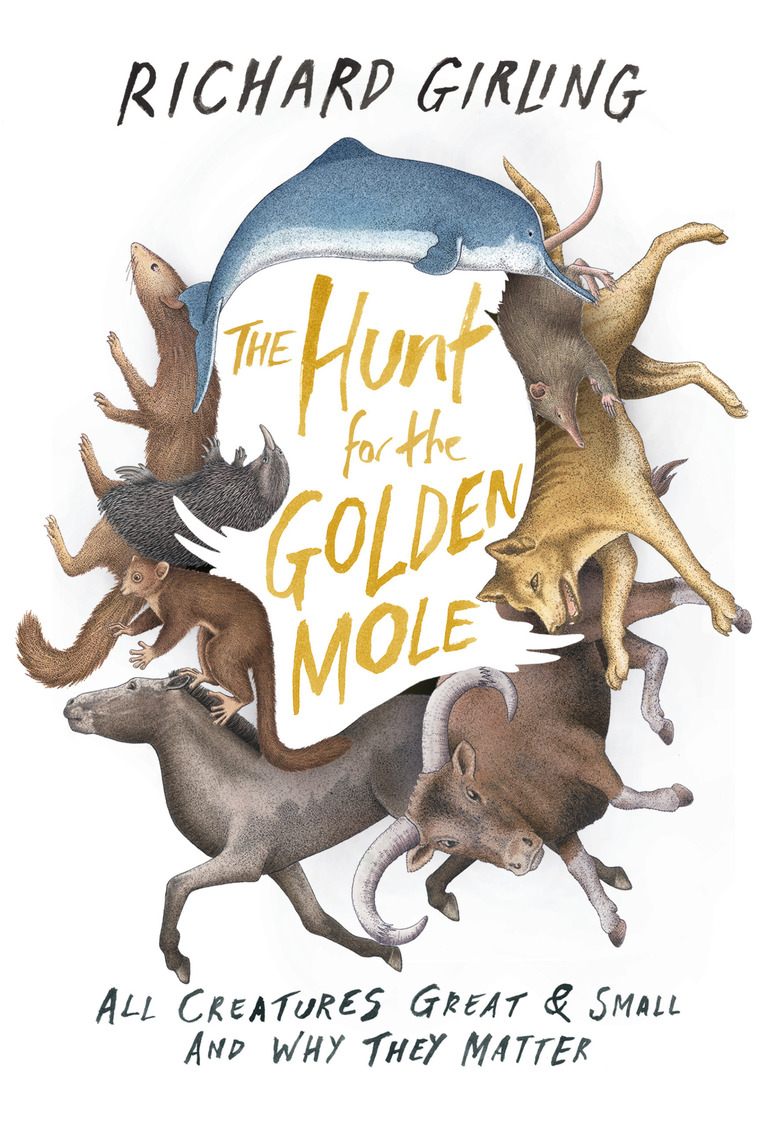 The Hunt for the Golden Mole by Richard Girling (Ebook) - Read free for ...