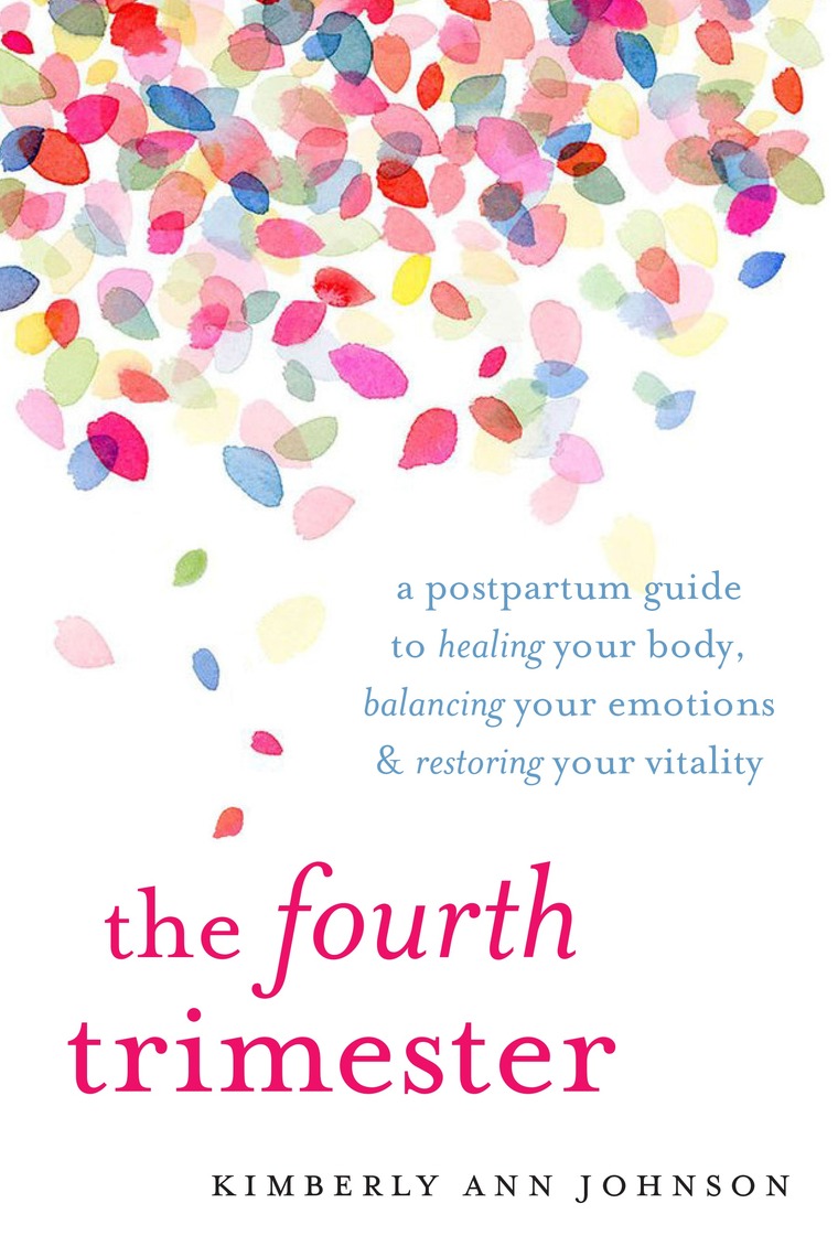 The Fourth Trimester by Kimberly Ann Johnson (Ebook) - Read free for 30 ...
