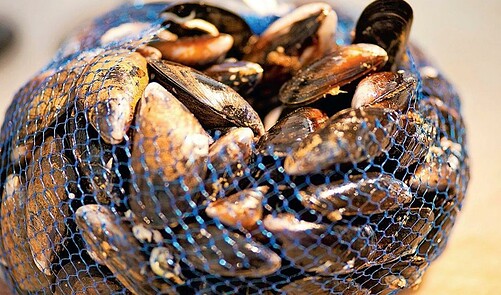 Mussels Power: There’s More To This Versatile Shellfish Than Steaming ...