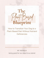 Pet Size o Meter Rabbit | PDF | Obesity | Dieting