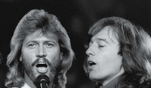 Bee Gee’s Cbeebies Cbe Heebeegeebies - Viz Magazine | Everand