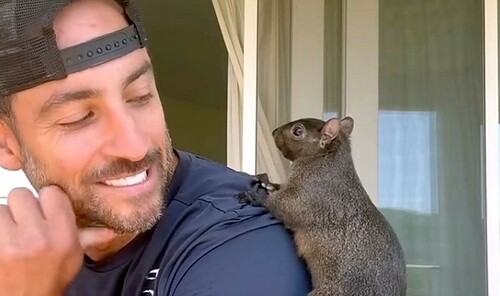 Elon Musk Mourns Death Of Peanut The Squirrel And Calls New York State ...