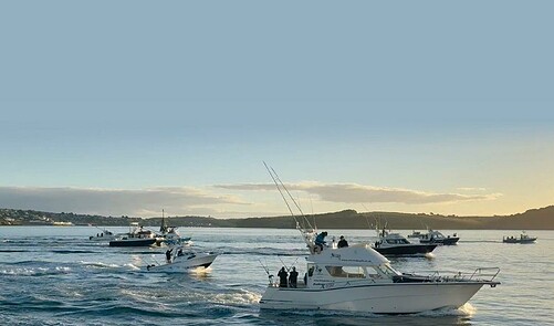 The Great Bluefin Tuna Hunt - Sea Angler | Everand