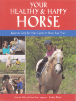 Parelli Pocket Guide 1 | PDF | Horses | Curiosity