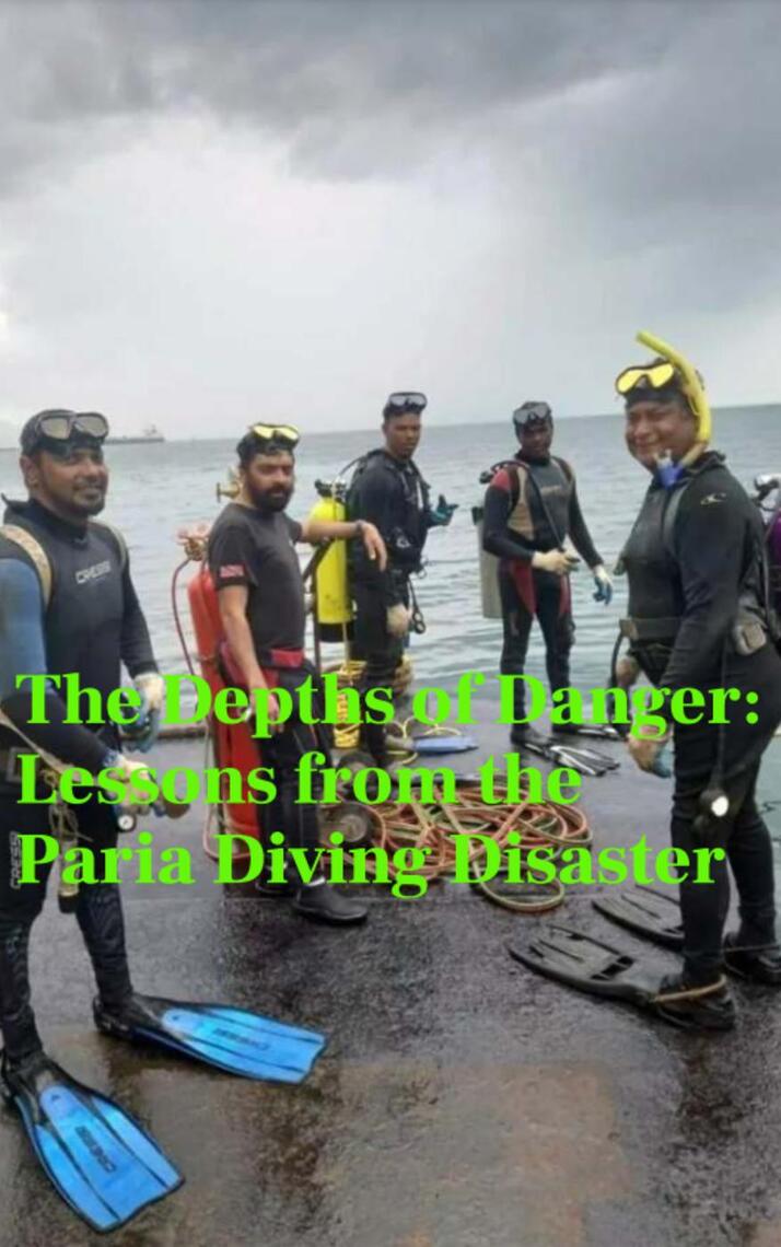 The Depths of Danger: Lessons from the Paria Diving Disaster by Anand ...