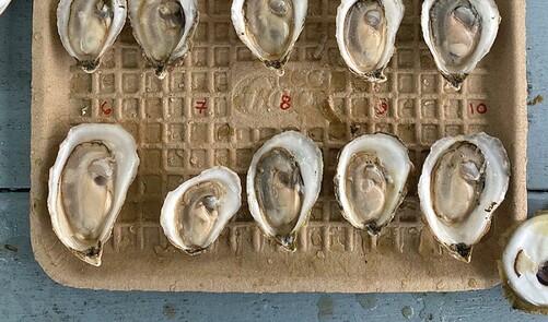 The Shuck Show - Denver Life Magazine | Everand