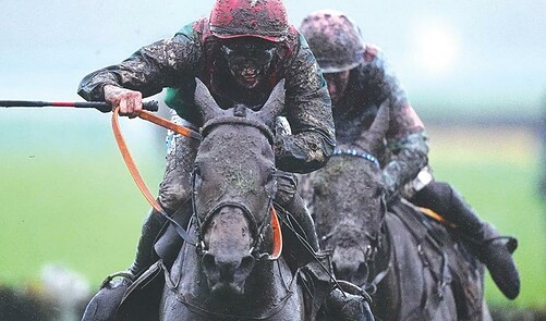“He's A Dinger Of A Horse” - Horse & Hound | Everand