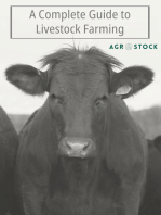 Unit I Beef Cattle Production | PDF | Cattle | Dairy Cattle