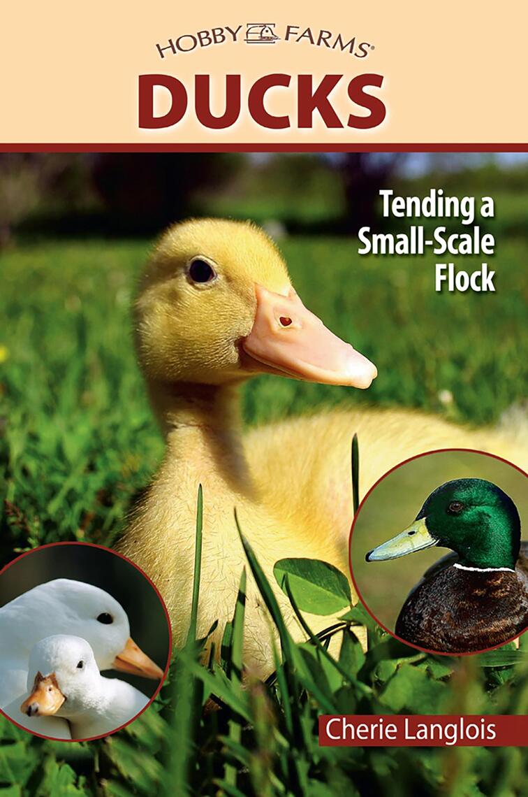 Ducks by Cherie Langlois (Ebook) - Read free for 30 days
