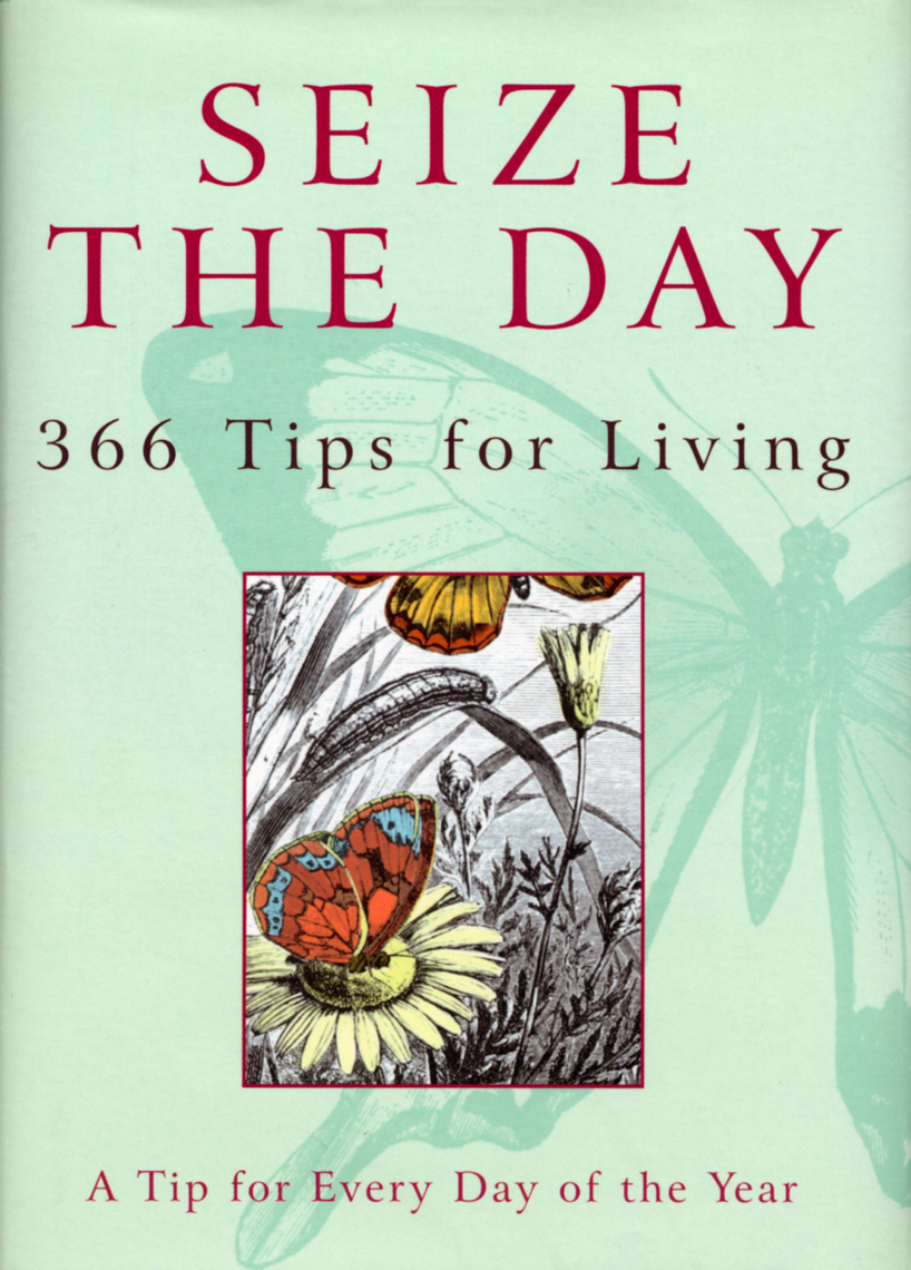 Seize The Day by Nicholas Albery (Ebook) - Read free for 30 days