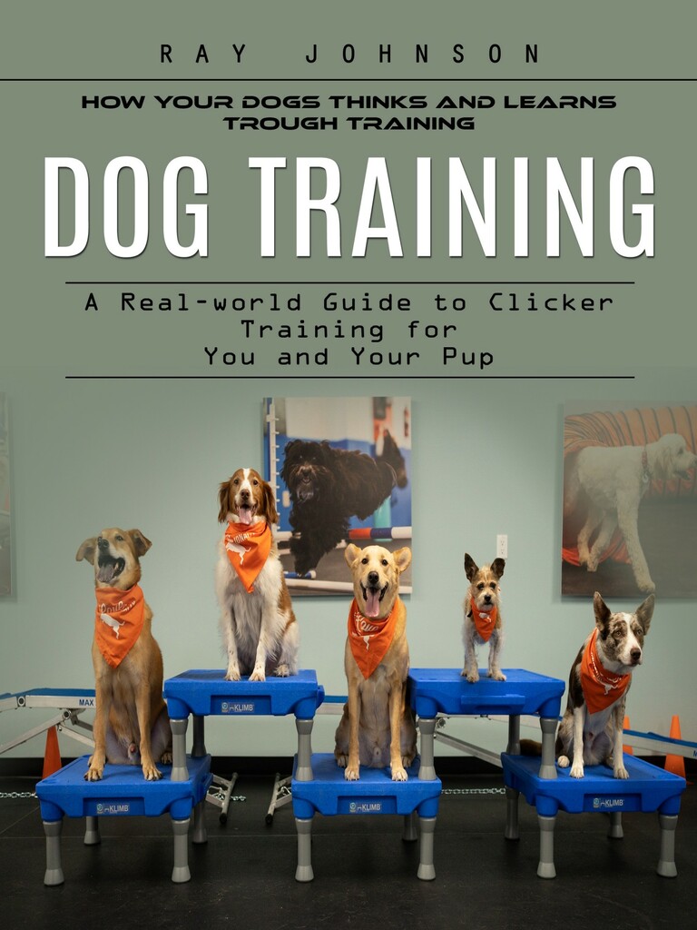 Dog Training: How Your Dogs Thinks and Learns Trough Training (A Real ...