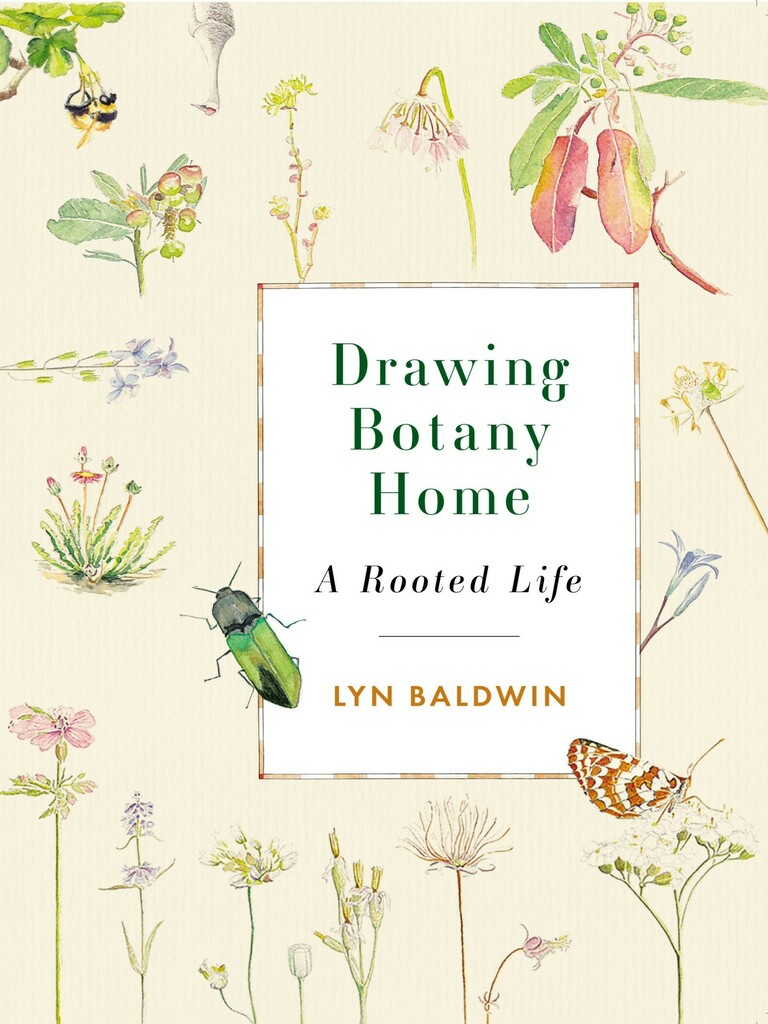 Drawing Botany Home by Lyn Baldwin (Ebook) - Read free for 30 days