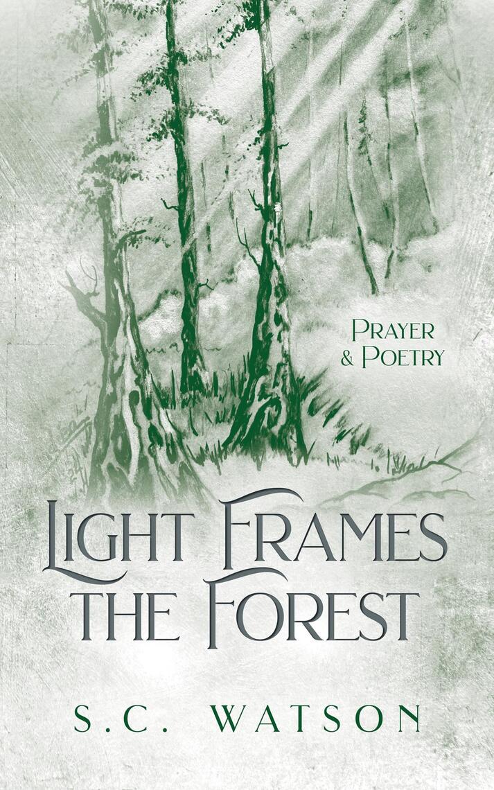 Light Frames the Forest by S. C. Watson (Ebook) - Read free for 30 days