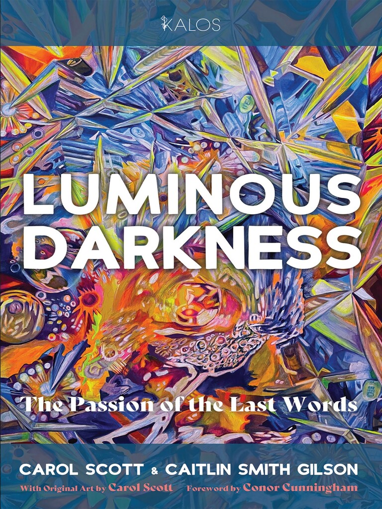 Luminous Darkness by Carol Scott, Caitlin Smith Gilson, Conor ...