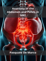 Rutherford Morrison Incision Summary | PDF