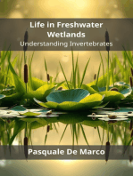 shona rondedzero | PDF