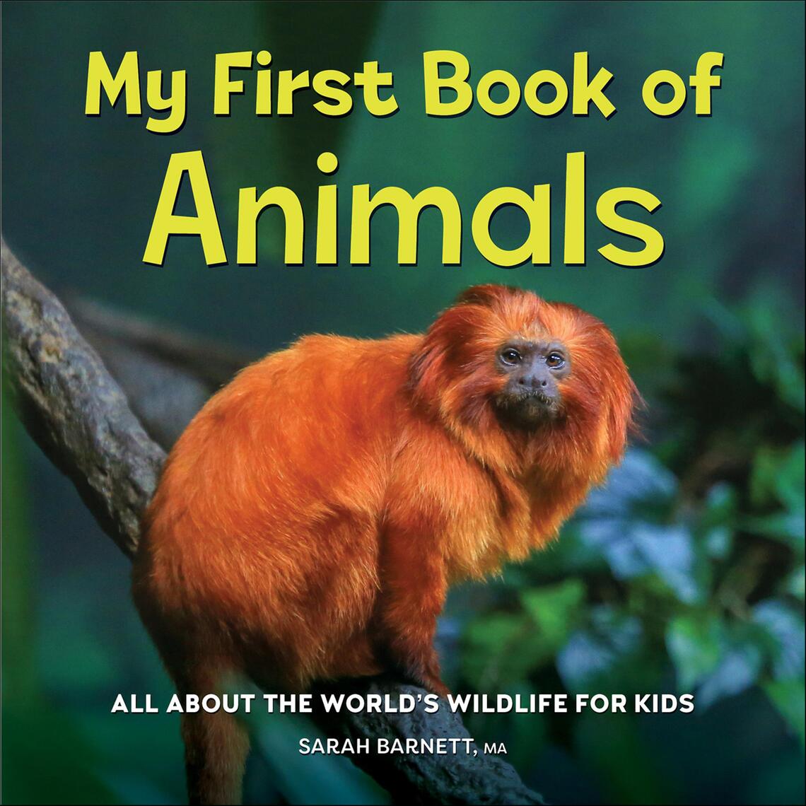 My First Book of Animals by Sarah Barnett (Ebook) - Read free for 30 days