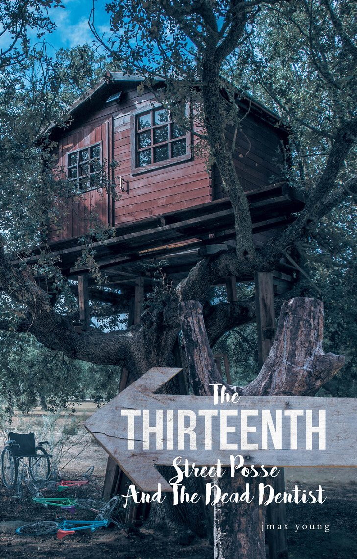 The Thirteenth Street Posse and the Dead Dentist by jmax young (Ebook ...
