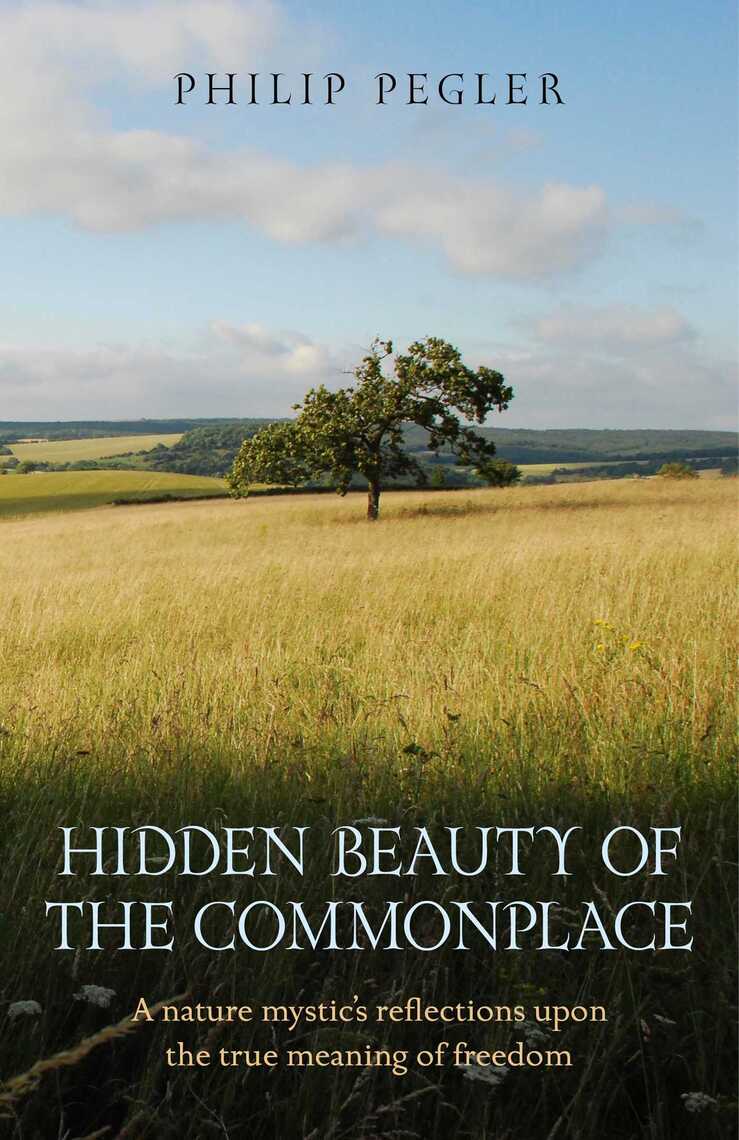 Hidden Beauty of the Commonplace by Philip Pegler (Ebook) - Read free ...