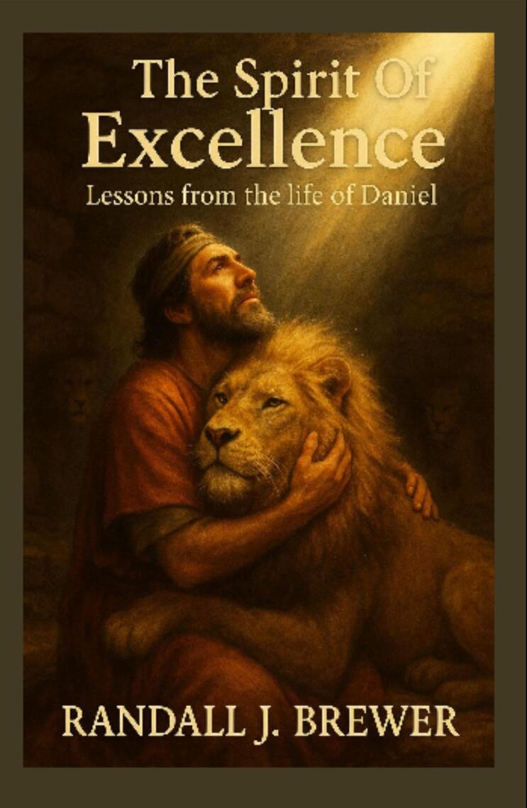 The Spirit of Excellence by Randall J. Brewer (Ebook) - Read free for ...