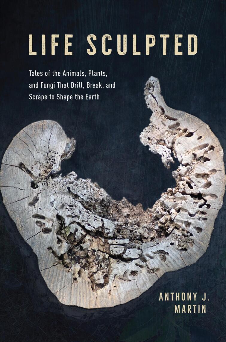 Life Sculpted by Anthony J. Martin (Ebook) - Read free for 30 days